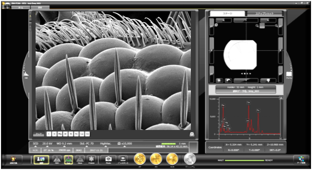 SEM | Scanning Electron Microscopes | Automation | Manufacturer